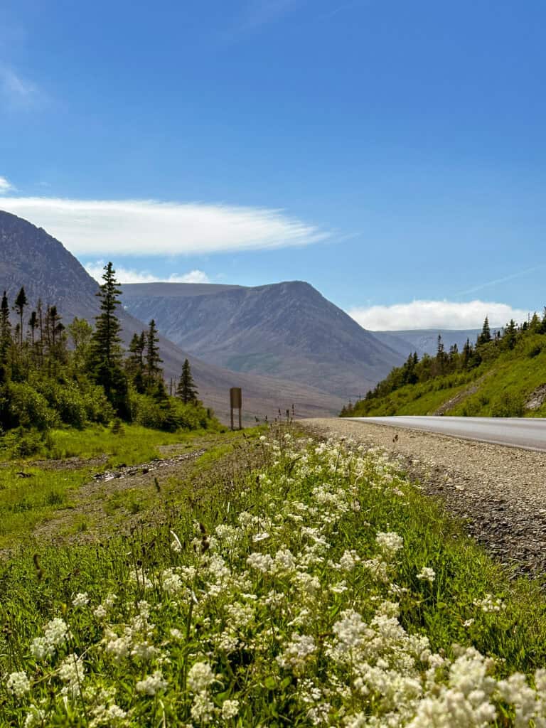 Best 7 Day Newfoundland Itinerary For West & East