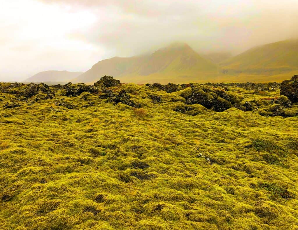 How to See Lava in Iceland: The ULTIMATE Guide!