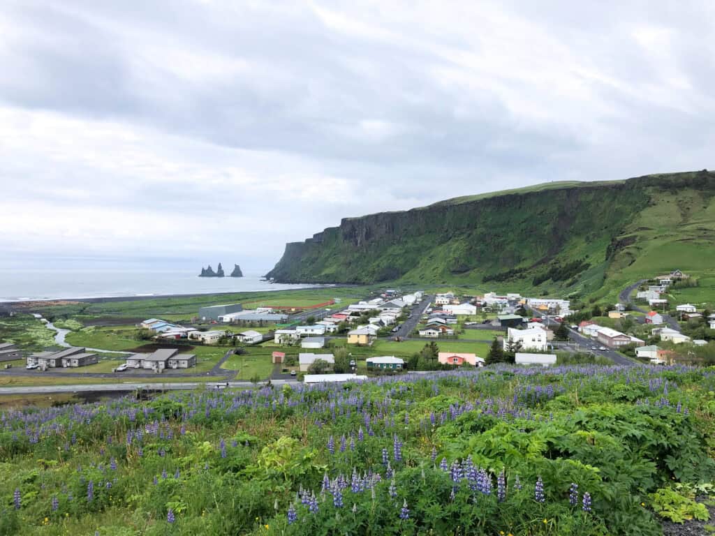 19 Amazing Things to Do in Vik, Iceland